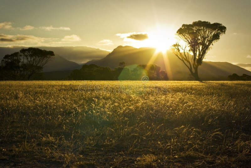Sunset Over Australian Mountains and Fields Stock Photo - Image of ...