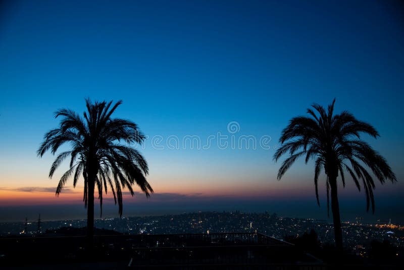 205 Lebanon Palm Trees Stock Photos - Free & Royalty-Free Stock Photos ...