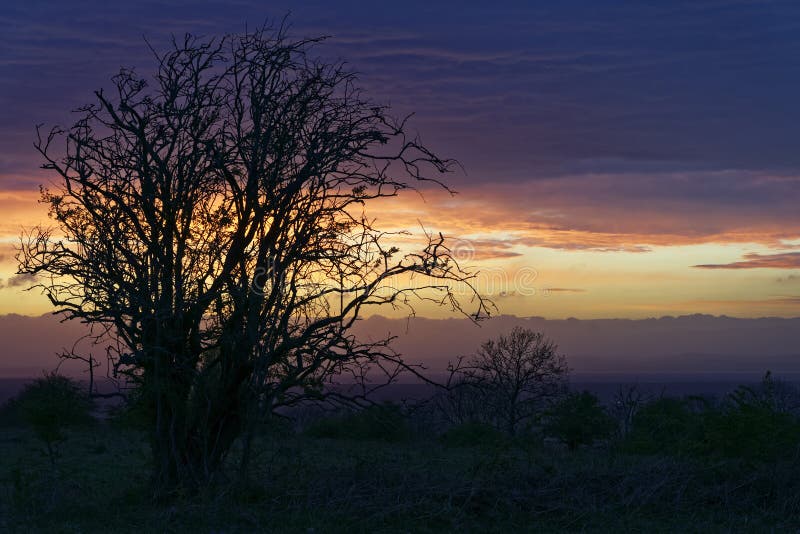 Sunset Over Burrington Ham stock photo. Image of somerset - 219206692