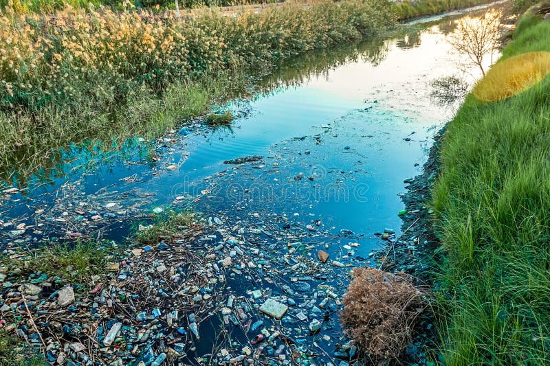Canal with Polluted Water and Trash Stock Photo - Image of water ...