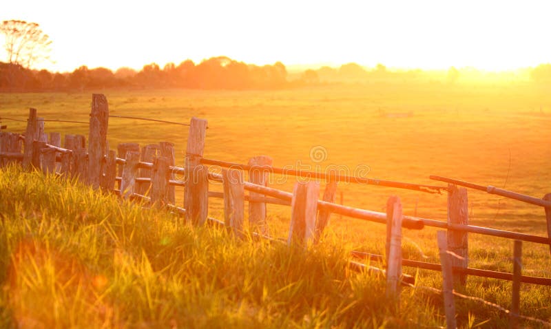 18,264 Cattle Sunset Stock Photos - Free & Royalty-Free Stock Photos ...