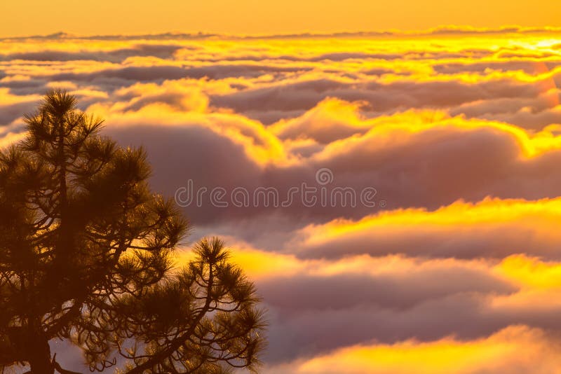 Sunset over the clouds stock photo. Image of satisfaction - 92582150