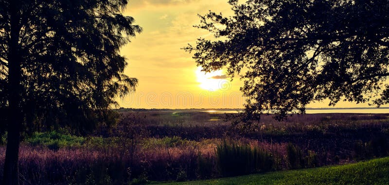 Sunset Over the Colorful Wetlands of Florida Stock Photo - Image of ...