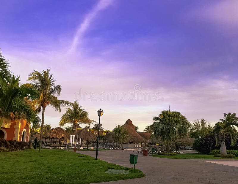 Cuban Sunset stock image. Image of beach, tree, antilles - 86204037