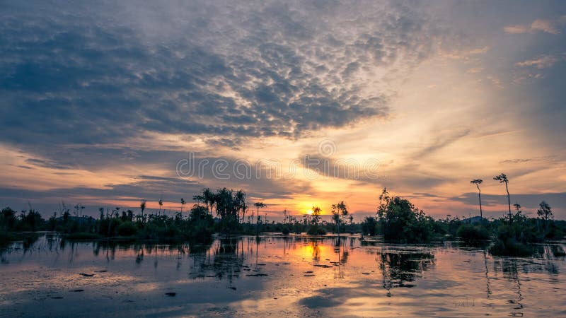 Sunset Over the Cypress Trees and the Swamp Stock Image - Image of ...