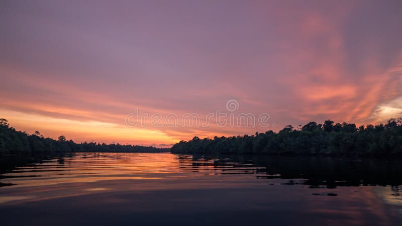 Sunset Over the Cypress Trees and the Swamp Stock Photo - Image of ...