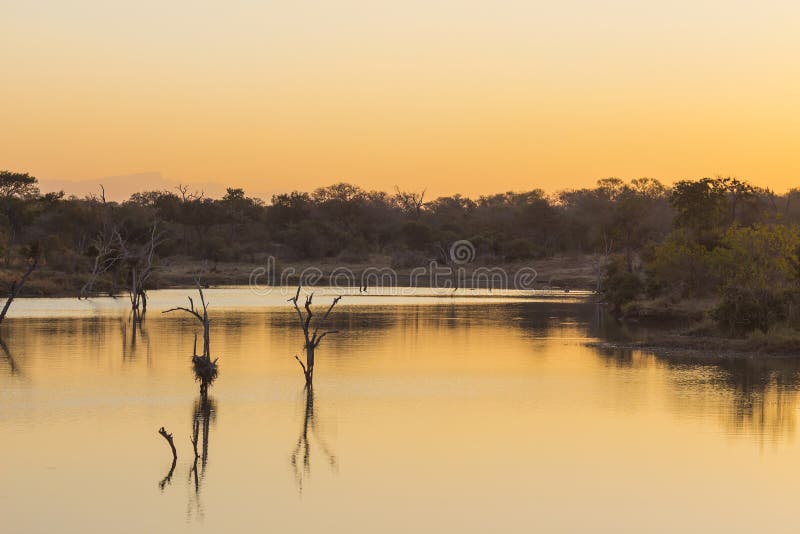 Sunset Over a Dam in the Wild Stock Image - Image of colors, safari ...