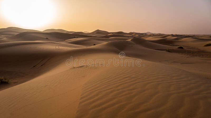 Sunset Over Desert Sand Dunes Stock Image - Image of environment ...