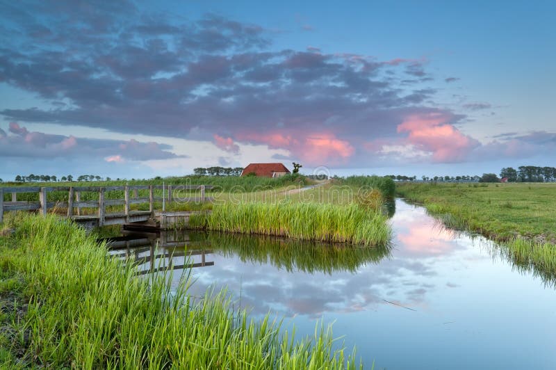 Dutch farmland landscape stock image. Image of landscape - 3078663
