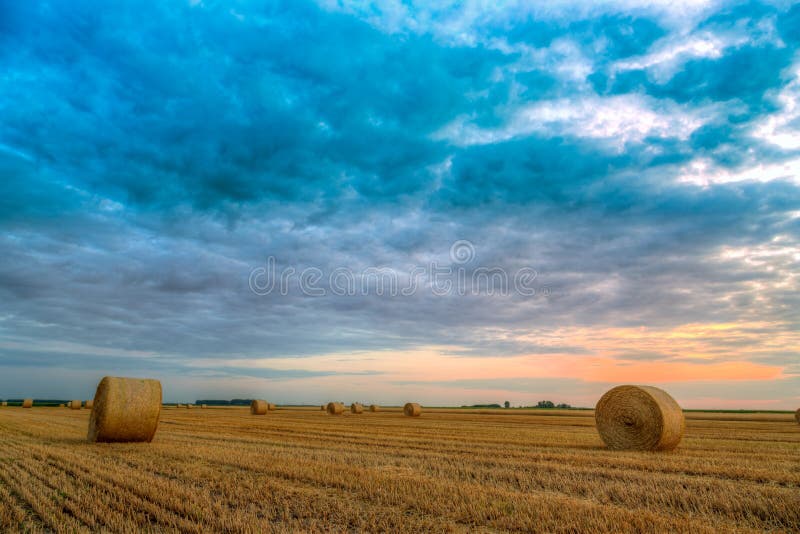Sunset Over Farm Field with Hay Bales Stock Photo - Image of harvesting ...