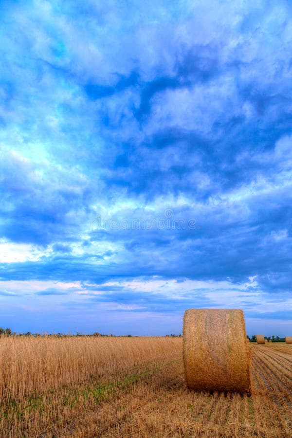 648 Sunset Over Farm Field Hay Bales Summer Stock Photos - Free ...