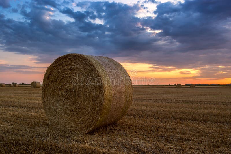 Sunset Over Farm Field with Hay Bales Stock Image - Image of autumn ...