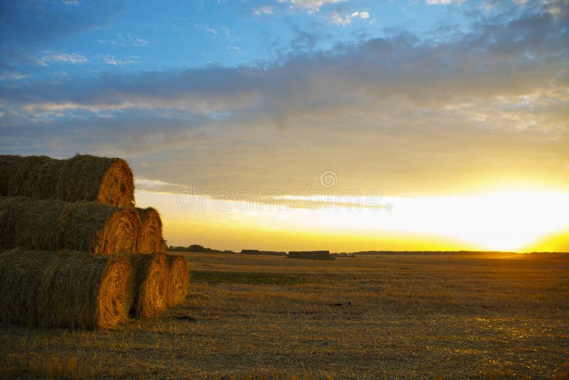 Sunset Over Farm Field with Hay Bales Stock Photo - Image of harvest ...