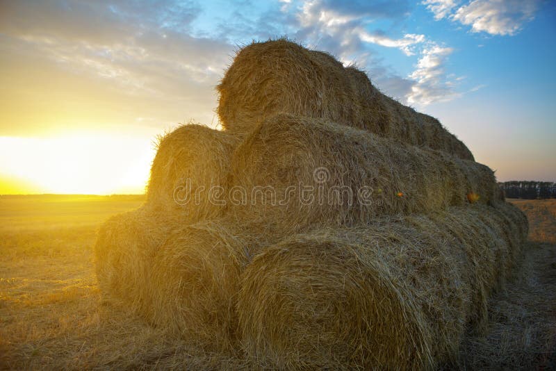 Sunset Over Farm Field with Hay Bales Stock Photo - Image of autumn ...