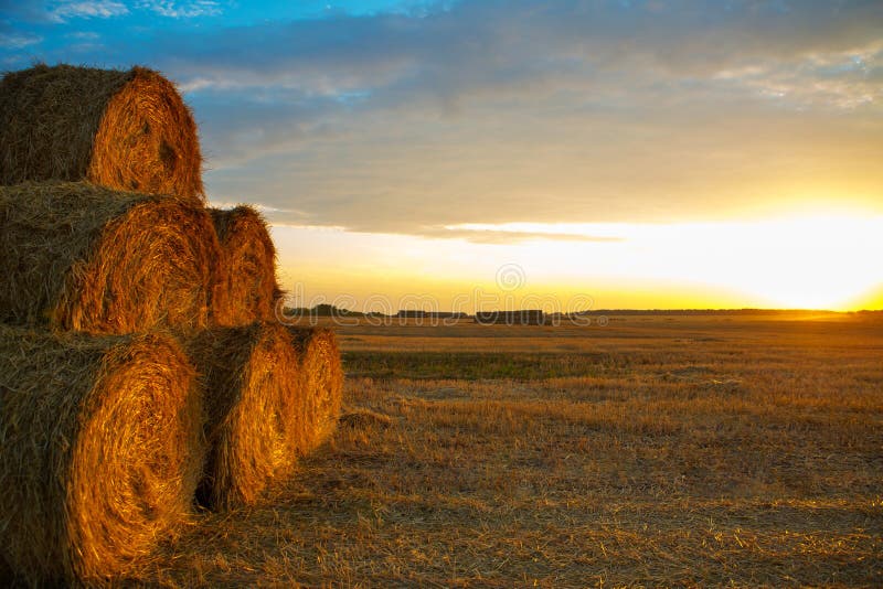 Sunset Over Farm Field with Hay Bales Stock Photo - Image of wheat ...