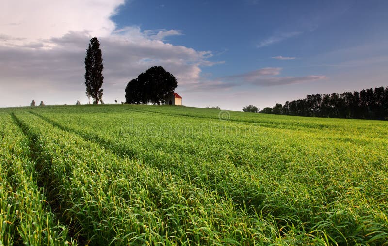 Sunset Over Farm Field with Lone Tree Stock Photo - Image of ...