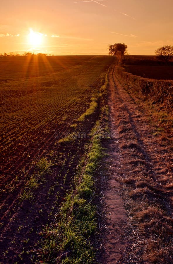 Sunset over farmland stock image. Image of outdoors, path - 21732903