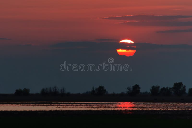 Sunset over a field stock photo. Image of black, weather - 18788298