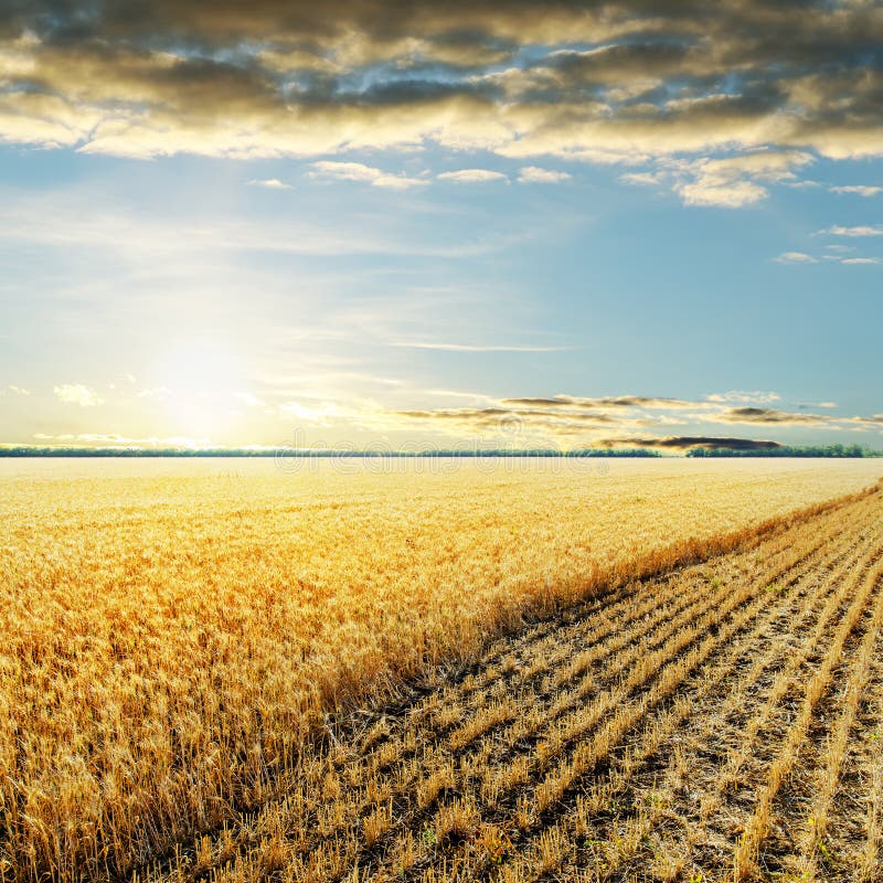 Sunset over field stock image. Image of field, gold, landscape - 27314367