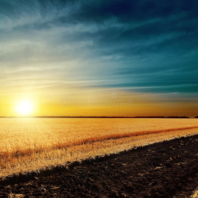 Sunset over field stock photo. Image of evening, farmland - 29358766