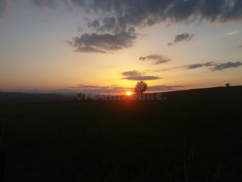 Sunset over field stock photo. Image of greennpark, leaf - 129562076
