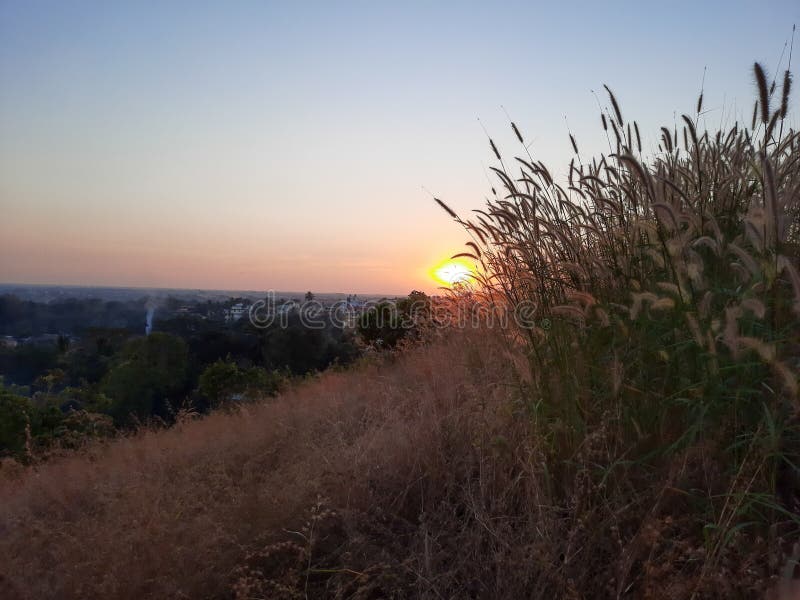 Sunset Over the Field, Sunset in the Mountains, Grass Field Over Sunset ...