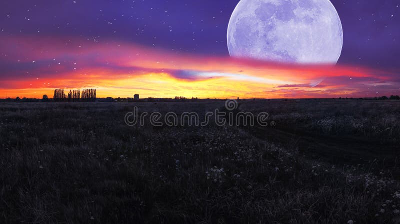 Sunset Over the Field with Road at the Village and Full Huge Moo Stock ...