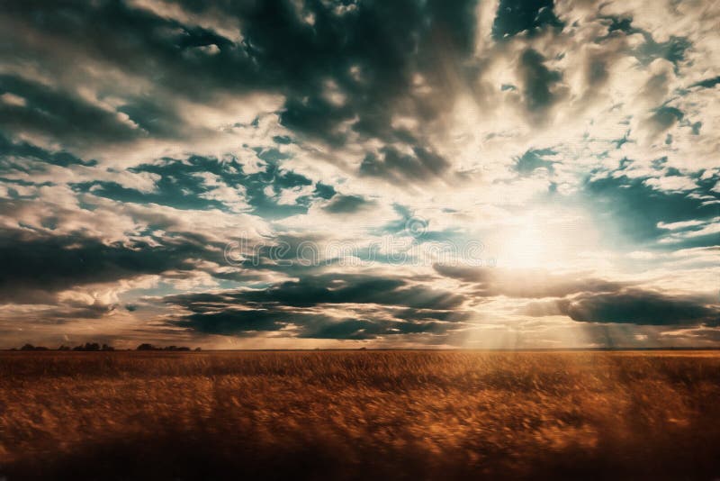 Sunset Over the Field with Sun Rays. Illustration Stock Image - Image ...