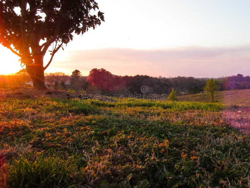 Sunset over fields stock image. Image of beauty, skies - 144131913