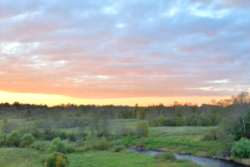Sunset over the forest. stock photo. Image of cloudscape - 92710816