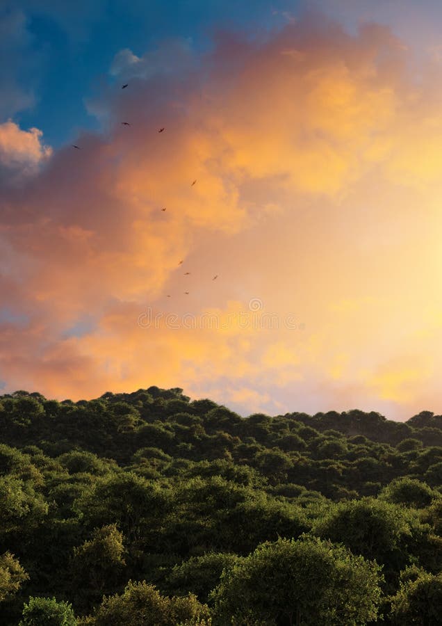 Sunset Over the Forest stock illustration. Illustration of computer ...