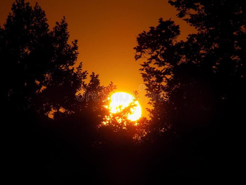 Sunset over forest stock image. Image of nature, wood - 66461829