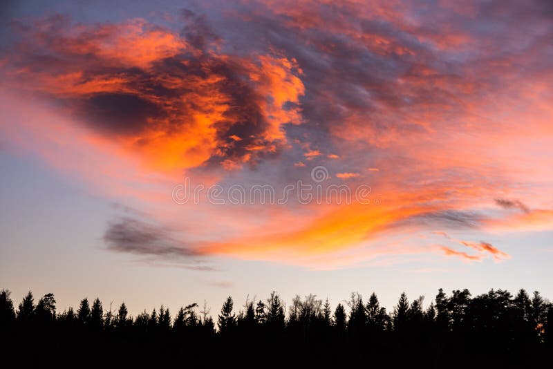 Sunset Over Forest with Dramatic Sky Stock Photo - Image of season ...