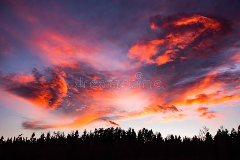 Sunset Over Forest with Dramatic Sky Stock Photo - Image of colors ...