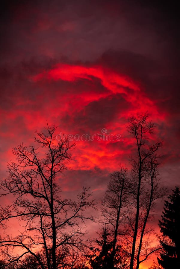 Sunset Over Forest with Dramatic Sky Stock Image - Image of dramatic ...