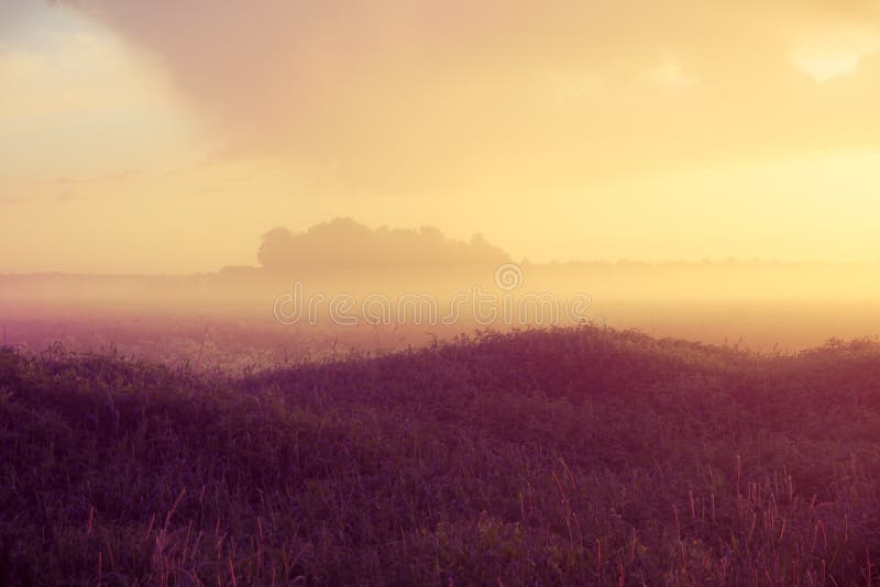 Sunset Over Forest with Fog Stock Image - Image of dusk, scenery: 31577189