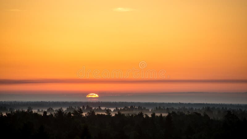 Sunset Over the Forest in Fog Stock Image - Image of environment ...