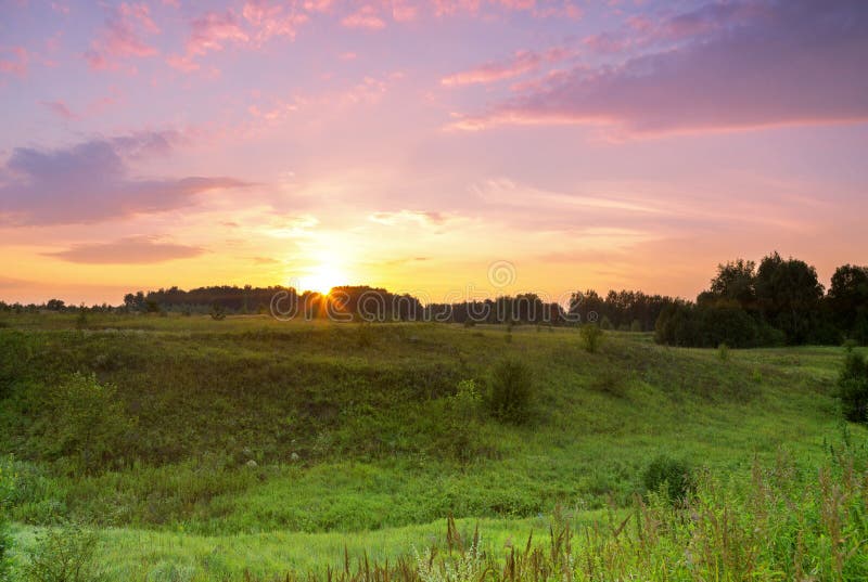 Sunset Over the Forest. Green Meadow Ravine Sunset. Stock Image - Image ...