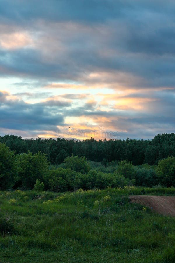 Sunset over the forest stock photo. Image of forest - 155521116