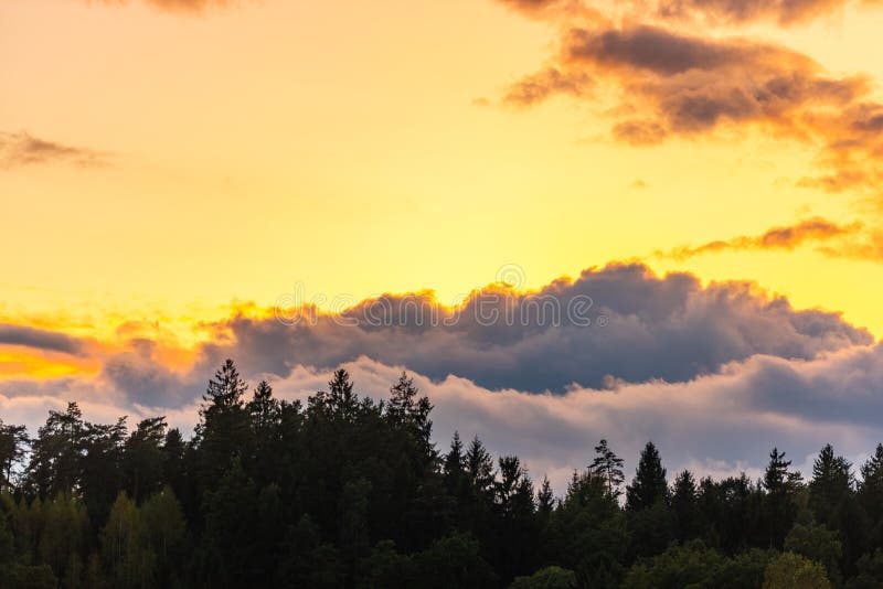 Sunset Over Forest with Pastel Colors Sky and Colorful Clouds Stock ...