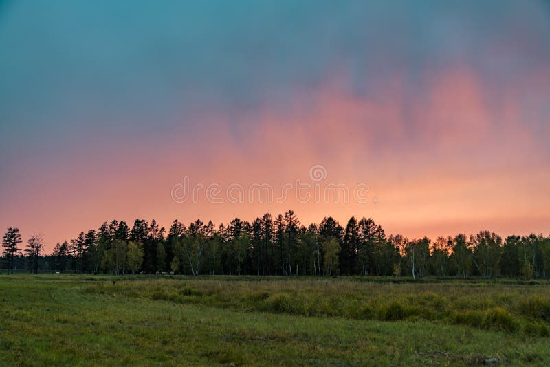 Sunset Over the Forest. Portrait of Sunset Over the Forest Stock Photo ...