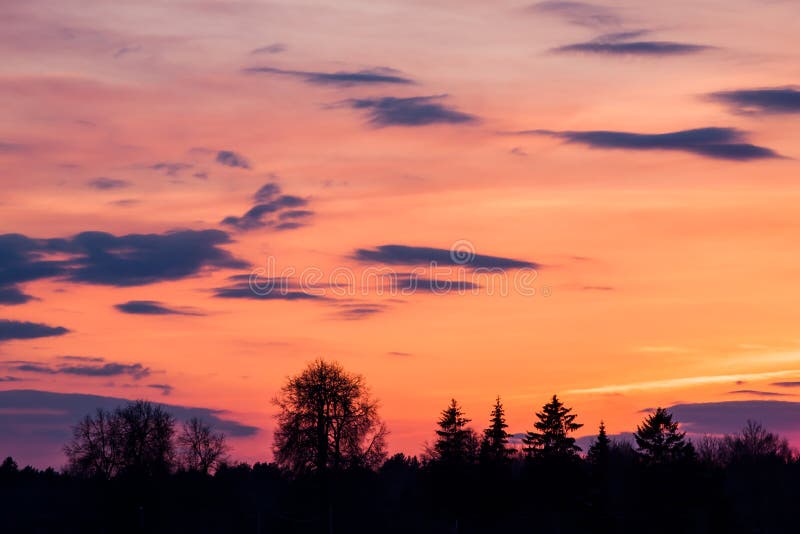 Sunset over forest trees stock photo. Image of light - 29943394