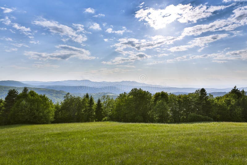 Sunset over forrest stock photo. Image of forrest, summer - 25035978