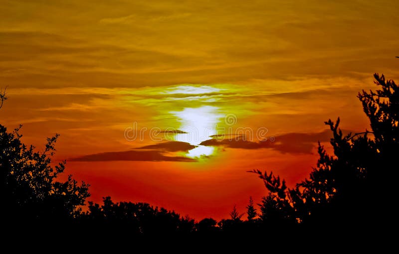 A Creek in Forest in a Sunny Day Stock Image - Image of creek ...