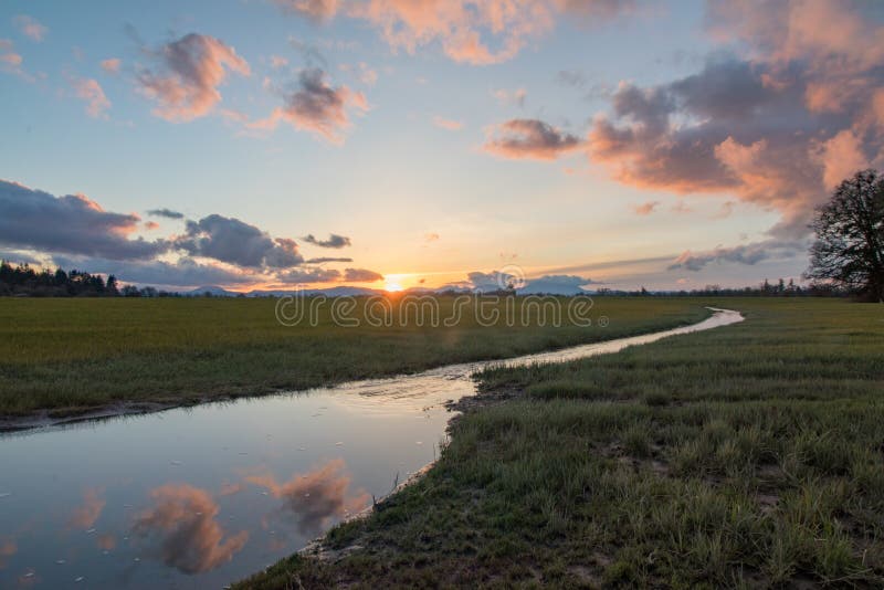Sunset over Grass Field stock image. Image of farming - 87368835