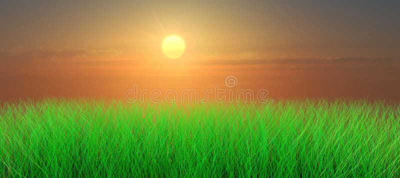 Sunset over grass meadow stock illustration. Illustration of nature ...