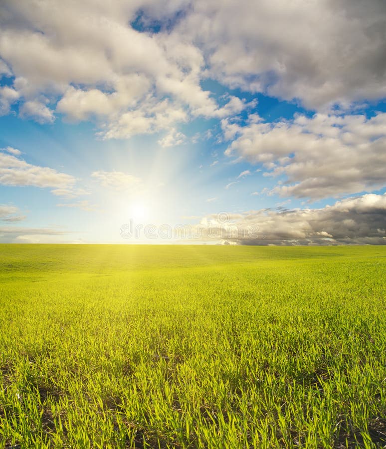 Green field and sunset stock photo. Image of green, idyll - 13768162