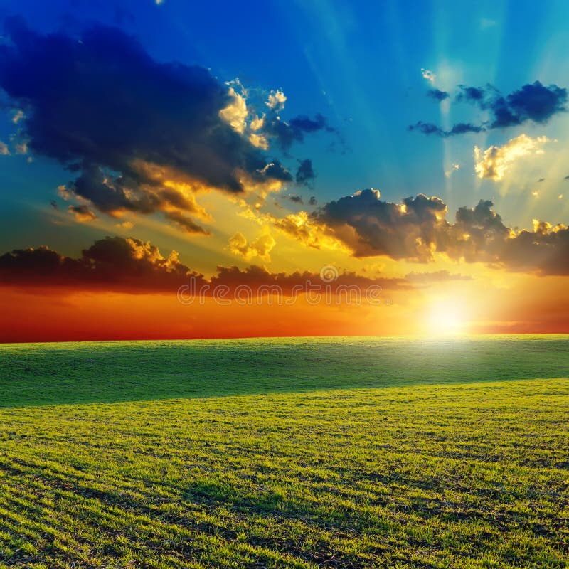 Sunset over green field stock image. Image of glow, farmland - 24925475
