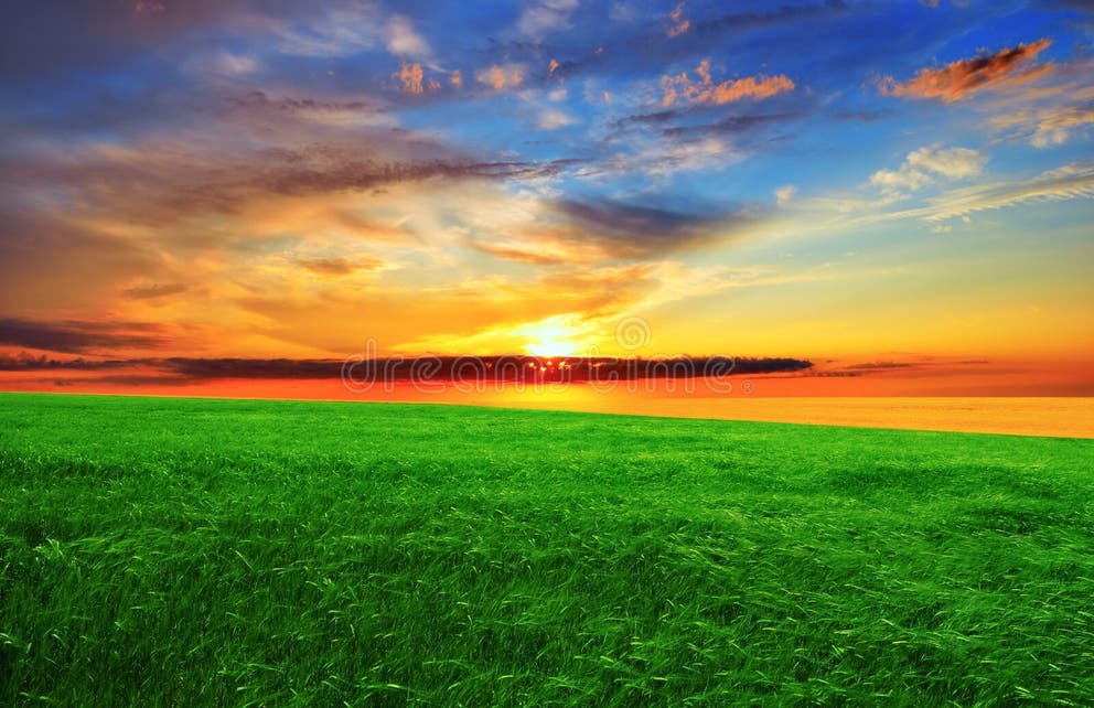 Sunset Over the Green Field Stock Image - Image of orange, meadow: 28594167