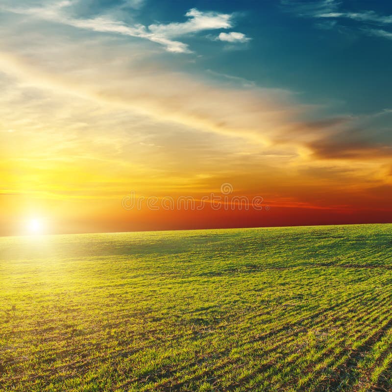 Sunset over green field stock image. Image of blue, hill - 29292565